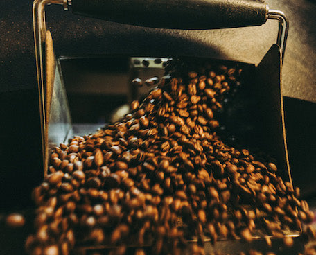 Kickback Coffee Roasters