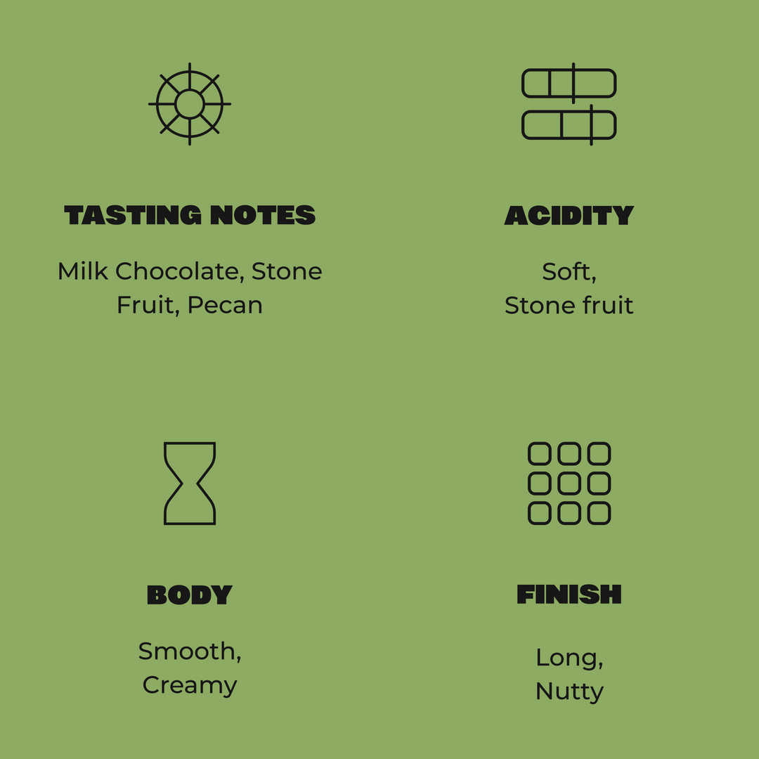 Sage Barista Express Impress – Kickback Coffee